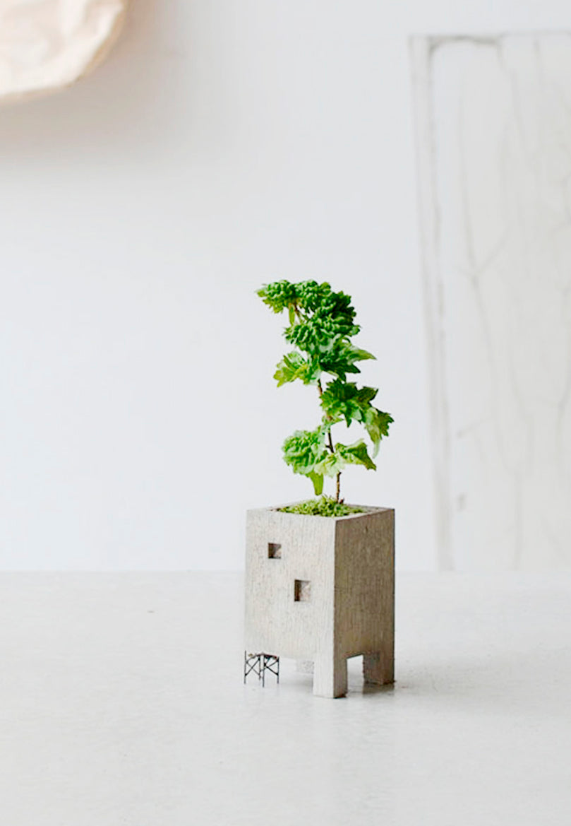 PLANTER - Truss– High Tea with Mrs Woo